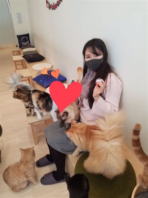 猫カフェデート レンタル彼女名古屋『レンカノprincess』美女率東海（愛知岐阜三重静岡）no1の恋人代行