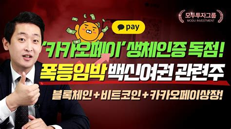 Sk텔레콤카카오 상장을 앞둔 카카오페이 생체인증 솔루션 독점 기업 매출 증가주가 폭등 백신여권 관련주 최병진