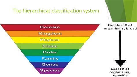 Biology Classification Of Living Organismspptx