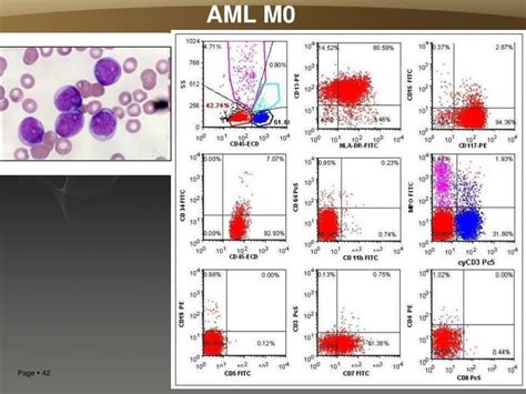 Ppt Basics Of Flow Cytometry Powerpoint Presentation Id3355687