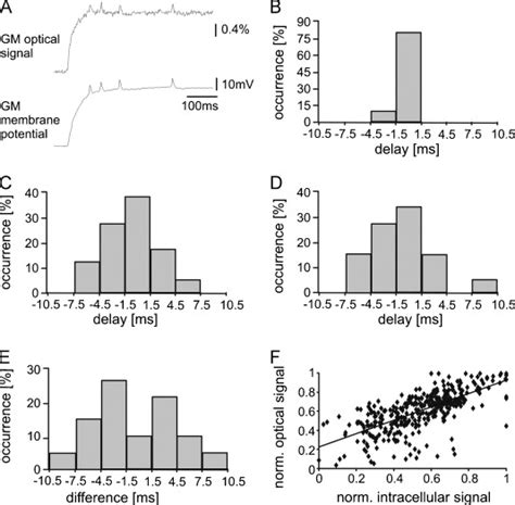 A Simultaneous Intracellular And Optical Recordings Of A Rebound From
