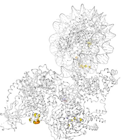 Jarid2 Gene Somatic Mutations In Cancer