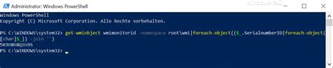 Monitor Hersteller Und Seriennummer Per Powershell Auslesen Windows Faq