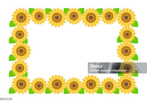 해바라기 액자 일러스트 Sunflower 0명에 대한 스톡 벡터 아트 및 기타 이미지 0명 계절 귀여운 Istock