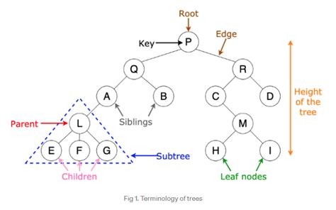 [data structure] 이진 트리 binary tree 의 세 가지 종류와 특징