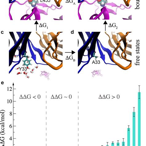 In Silico Alanine Scan A−d Illustration Of The Fep Calculations With
