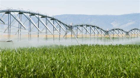 Ministrul Barbu A Semnat Ordinul De Prelungire A Perioadei De Implementare Pentru Proiectele Cu