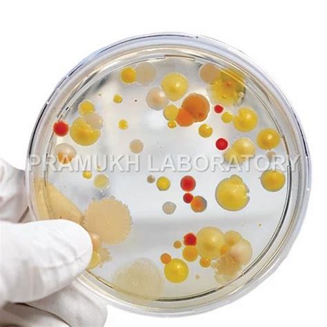 Elemental Trace Testing Services At Rs 199 Sample In Ahmedabad Id