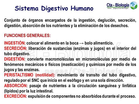 Biología didáctica Ingeniería ANA 5 Sistema Digestivo I