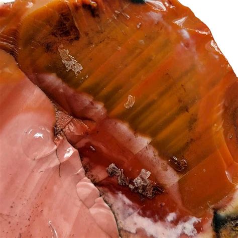 Royal Imperial Jasper Rough Chunk