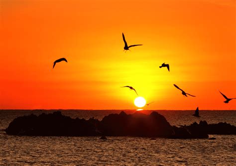 Sustainable Energy Solutions The Business Case For Solar Sunshine