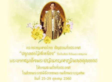 เชญชวนปลก ดอกไมสเหลอง 25 29 ต ค 2560