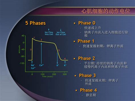 Arrhythmia General Prof Hua Fu Cardiovascular Department Ppt Download
