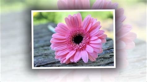 현역가왕 2 신유 러브스토리 잠자는 공주 러브스토리 Youtube