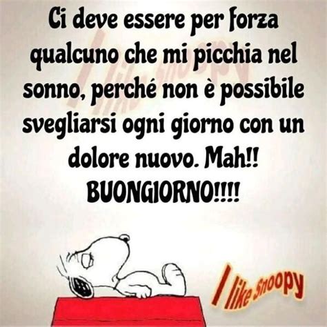 Pin Di Anna Maria Evangelisti Su Buongiorno Citazioni Simpatiche