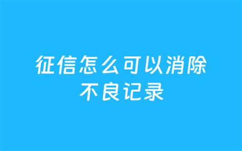 网信大数据信用报告查询