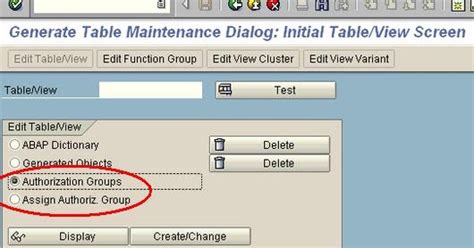 Sap Table Authorization