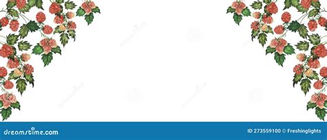Watercolour Raspberry Banner For Website Or Package Horizontal Oriented