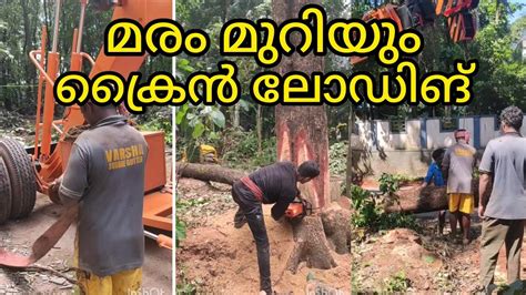 മരം മുറിയും ക്രൈൻ ലോഡിങ്ങും Youtube