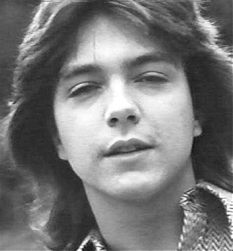 David Cassidy Portrait David Cassidy David Favorite Celebrities