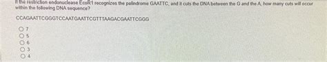 Solved If The Restriction Endonuclease Ecor1 Recognizes The