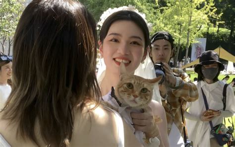 Reaction宿舍突袭 昕羊 诗情画奕 七夕就应该看点刺激的 早間日出 默认收藏夹 哔哩哔哩视频