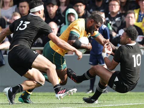 All Blacks To Continue Bledisloe Cup Dominance Planetrugby Planetrugby