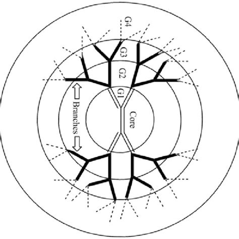 Pdf Dendrimer Drug Conjugates In Drug Delivery And Targeting