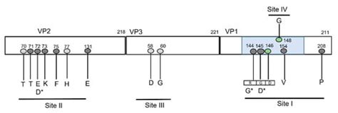 Viruses An Open Access Journal From Mdpi