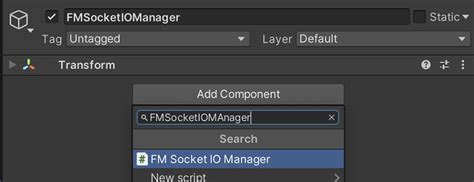 Fm Websocket Frozen Mist