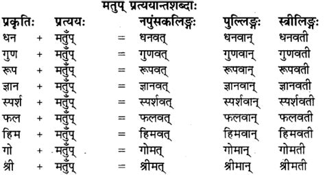 Mat Pratyaya In Sanskrit मत् प्रत्यय Mat Pratyaya Ke Udaharan परिभाषा भेद संस्कृत