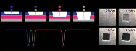 7 A Schematic Cross Section Of An Opv Device At Various Stages Of