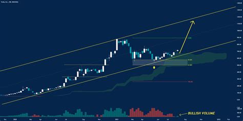 Tesla Stockforecast Fundamental And Price Predictions 510 Years For