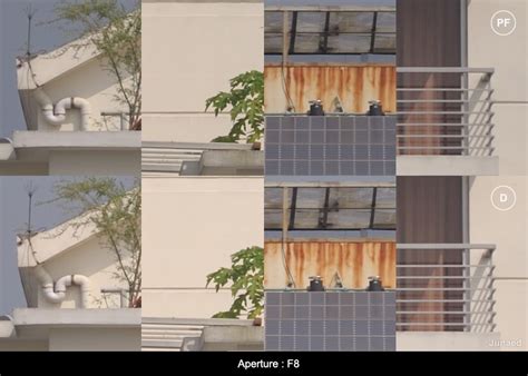 A Comparison Between Af S Nikkor 300mm F4e Pf Ed Vr And Af S Nikkor 300mm