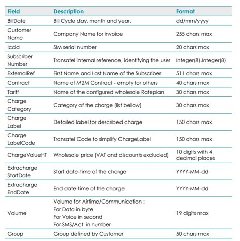 The Detailed Invoice File Docs Transateldocs Transatel