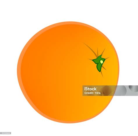 Vector Illustration Of Orange Fruit Stock Illustration Download Image