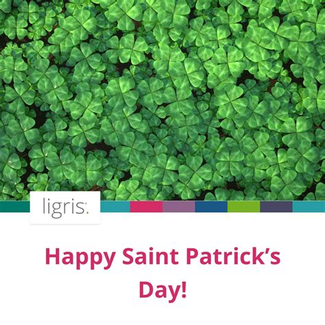 Ligris On Linkedin Stpatricksday