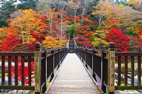 美しい紅葉に感涙！今年は絶対に行ってみたい那須の紅葉スポット7選 Retrip[リトリップ]