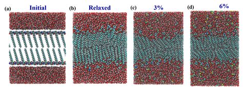 Figure S4 Snapshots Of The Initial Simulation Model Of HSPC Lipids A