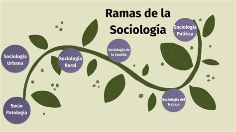 Ramas de la Sociología by Natanael Dejesus on Prezi