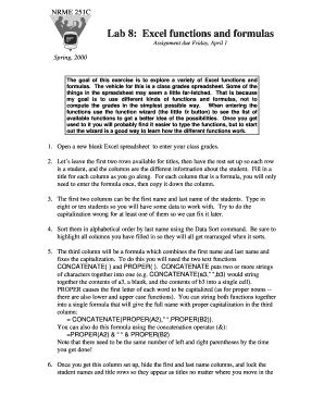 Fillable Online Lab 8 Excel Functions And Formulas Fax Email Print PdfFiller
