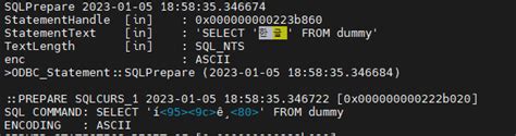 Odbc Saphana How To Execute A Sql Query With Utf 8 Characters