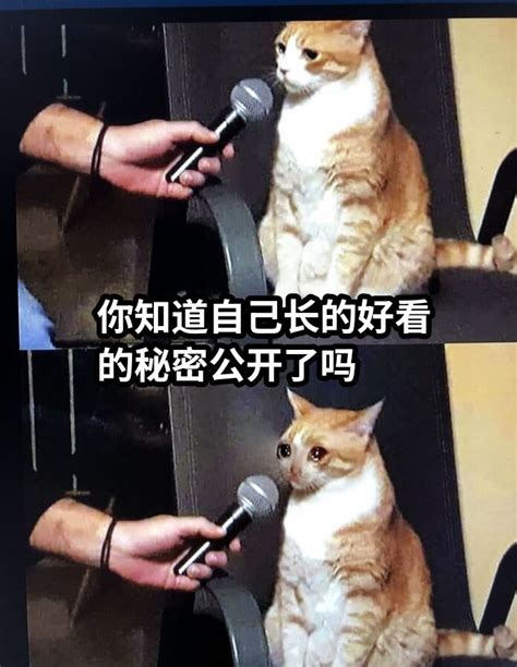 你知道自己长的好看的秘密公开了吗 网友制作的MEME梗图