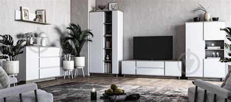 ᐉ Шафа Грейд 1д Concept дуб крафт сірий німфея альба • Краща ціна в Києві Україні • Купити в