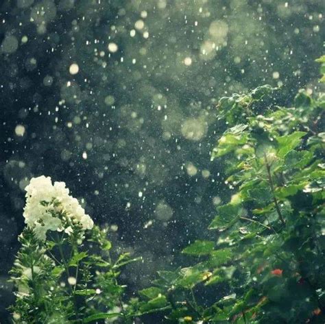 “龙舟水”继续发力 未来几天持续雨雨雨 市民注意防御强降水郁南预报