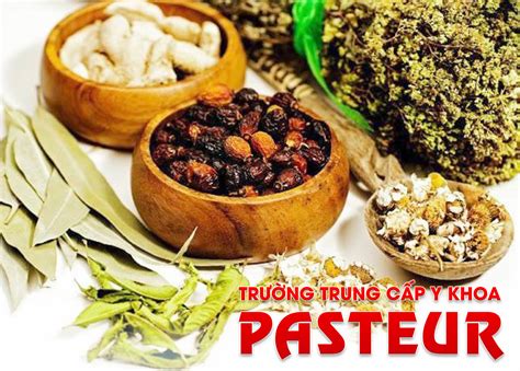 Học Đông Y ở đâu Tốt Và Những điều Cần Biết Về Y Học Cổ Truyền