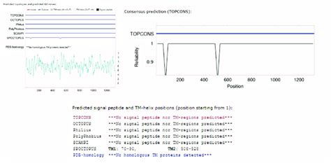 Membrane Topology Prediction Using Topcons Download Scientific Diagram