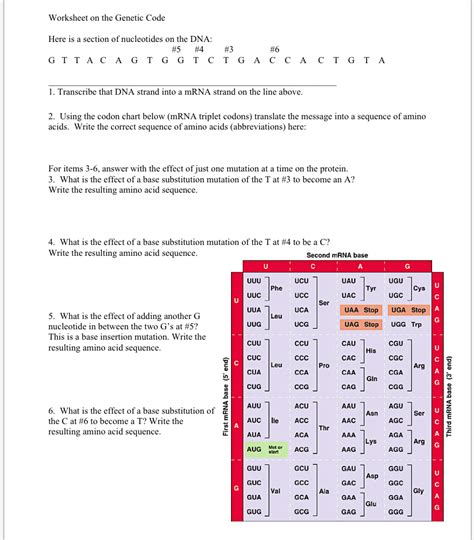 How Does A Codon Chart Worksheet Answers