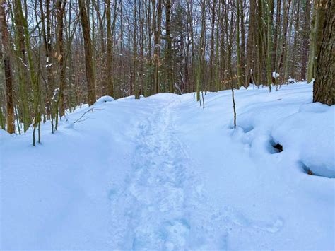 Tinker Falls Tully Ny Adventures In New York