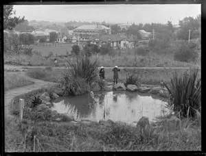Roadmap Te Aroha A Gallery From Jesse Mulligan 1 4pm Radio New